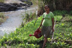 Neide [Maria Neide Pinheiro de Sousa] - Poéticas da Terra
